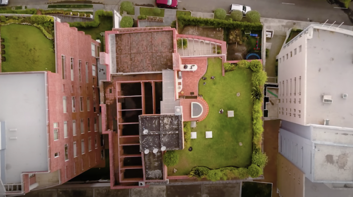 Native Plants for Green Roofs in Quito | HUMAN WRONGS WATCH