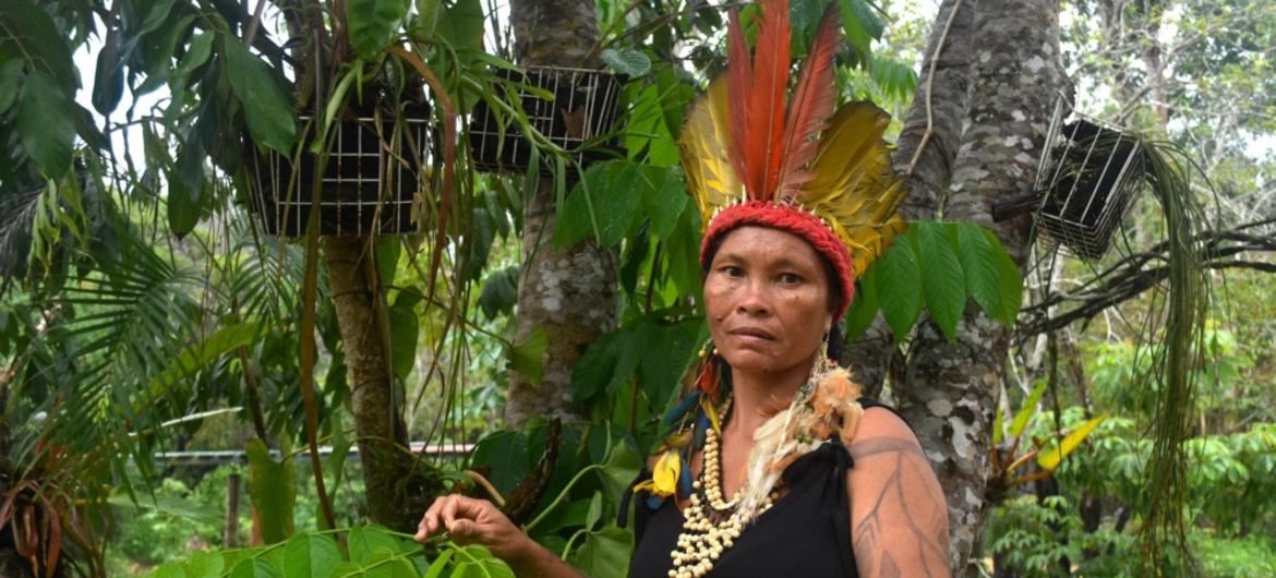 ‘We are not afraid’: Indigenous Brazilian women stand up to gender ...